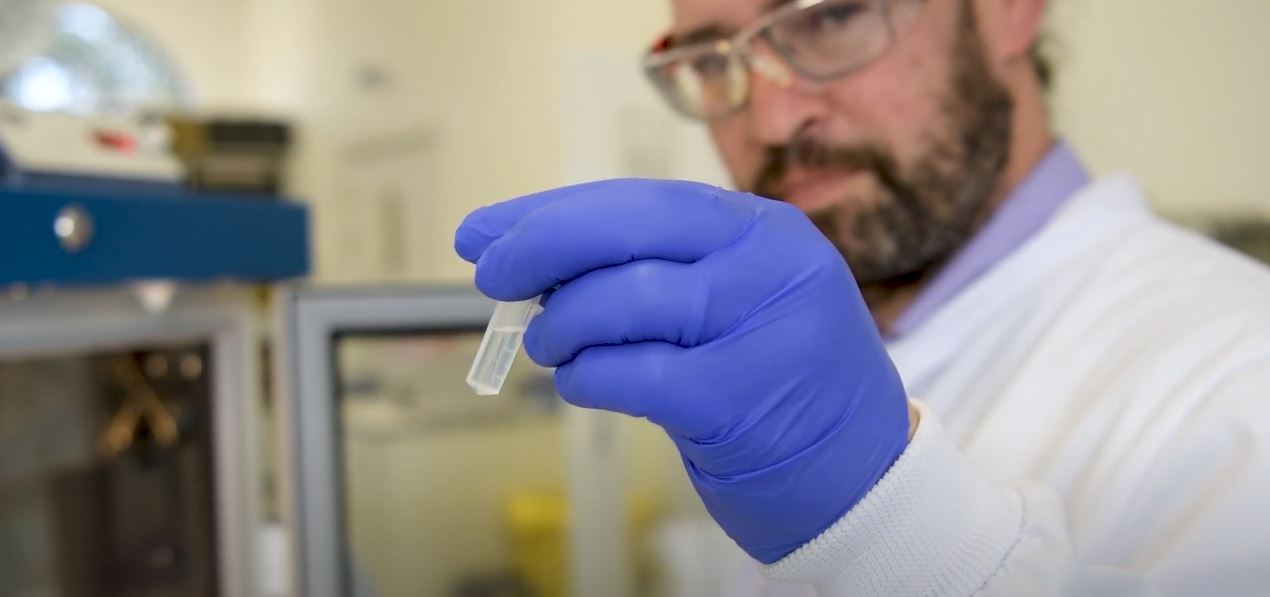 UK Scientists Develop Pioneering Bio-batteries